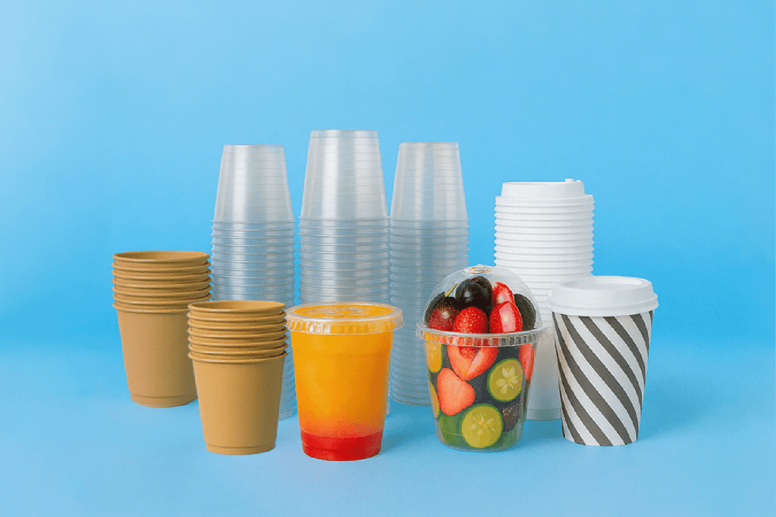 Plate Sizing Made Simple for Catering – JOLLYCHEF