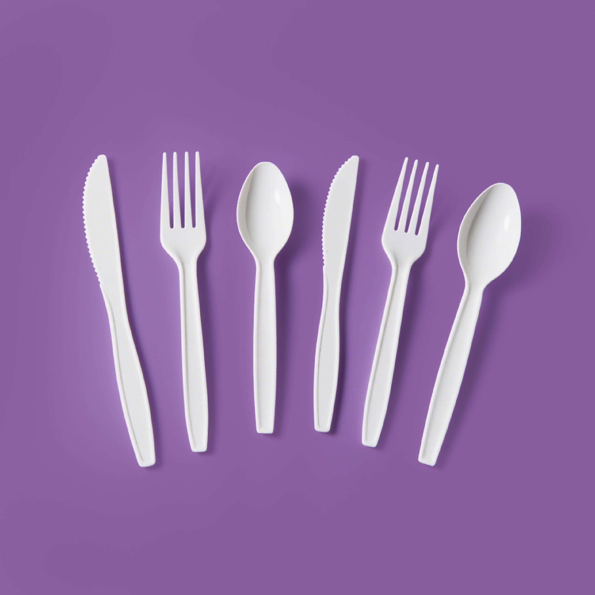 Flatware | Disposable Flatware & Compostable Cutlery – JOLLYCHEF